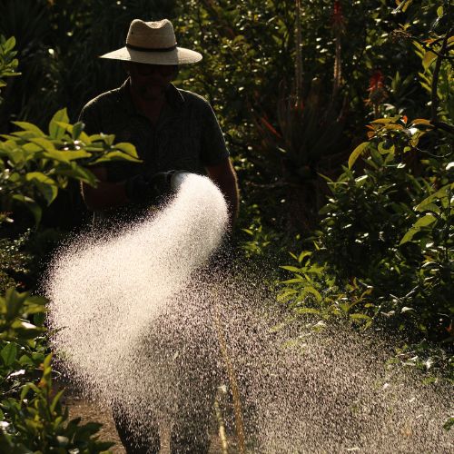 Fruits bio – MAISON GANNAC